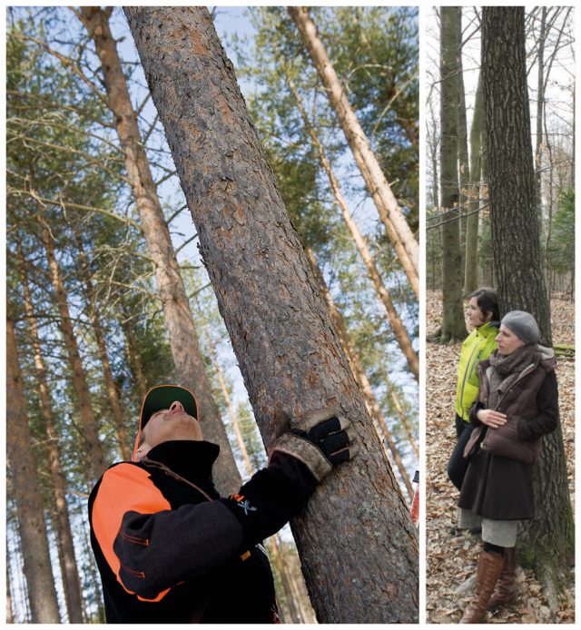 Gender matters when owning forest – Northportal